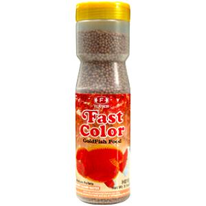 Hai Feng Goldfish Fast Colour (M Malaysia | Pet Lovers Centre