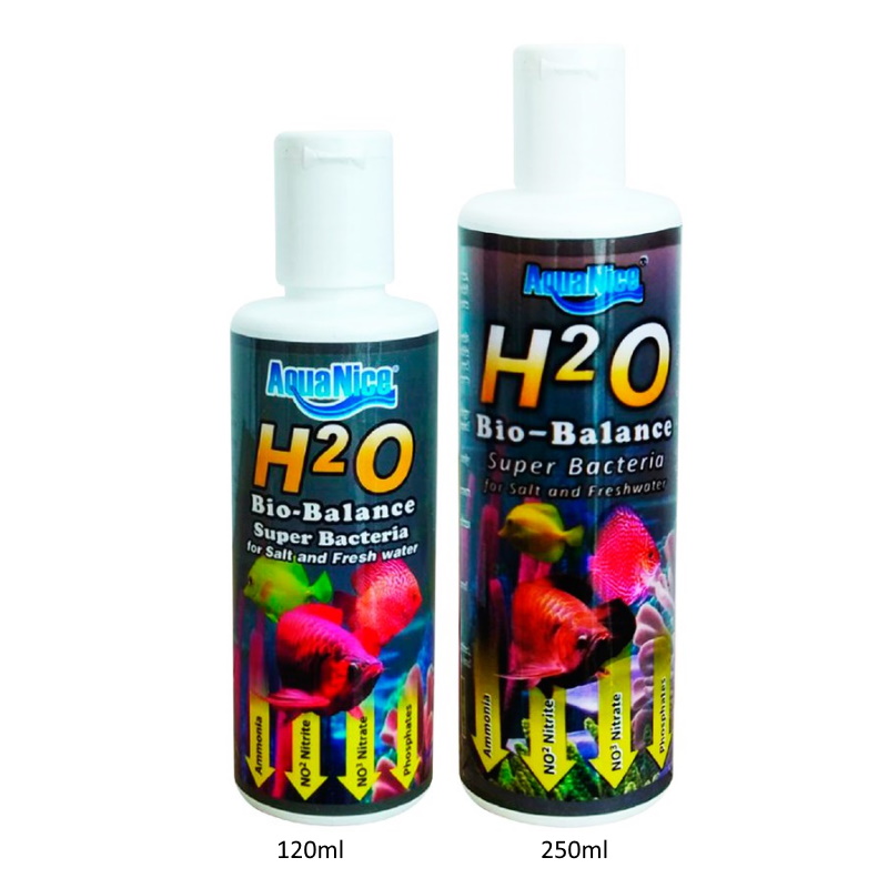 H2O BIO BALANCE SUPER BACTERIA 120ml