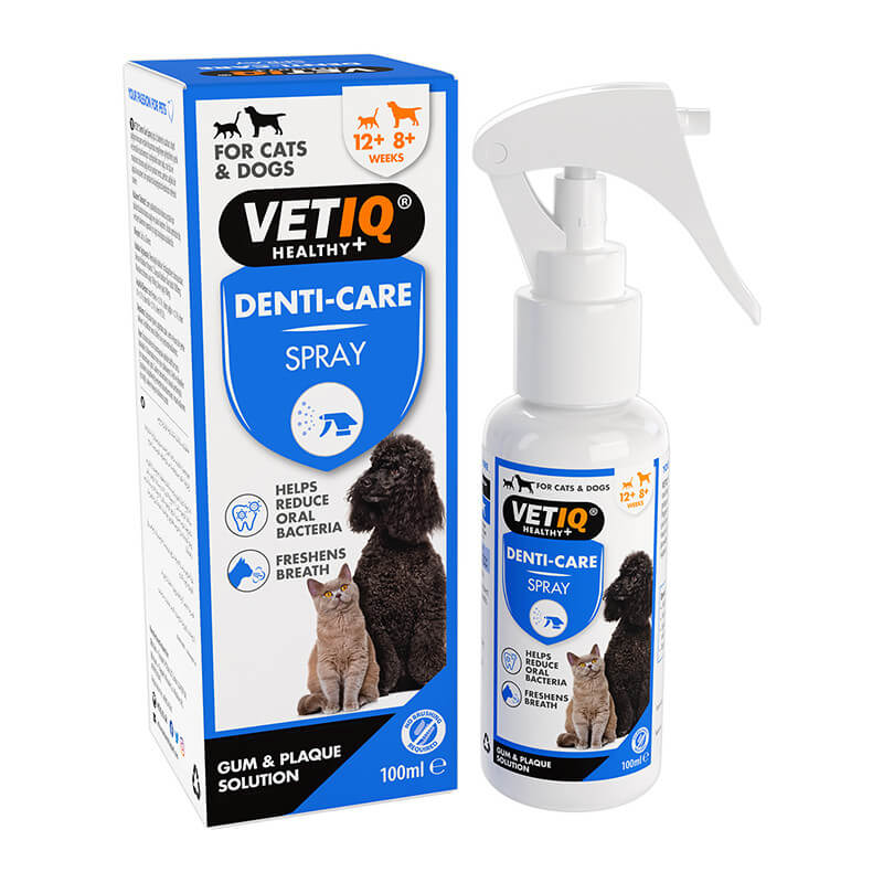 2-IN-1 GUM SHIELD SPRAY 100ml